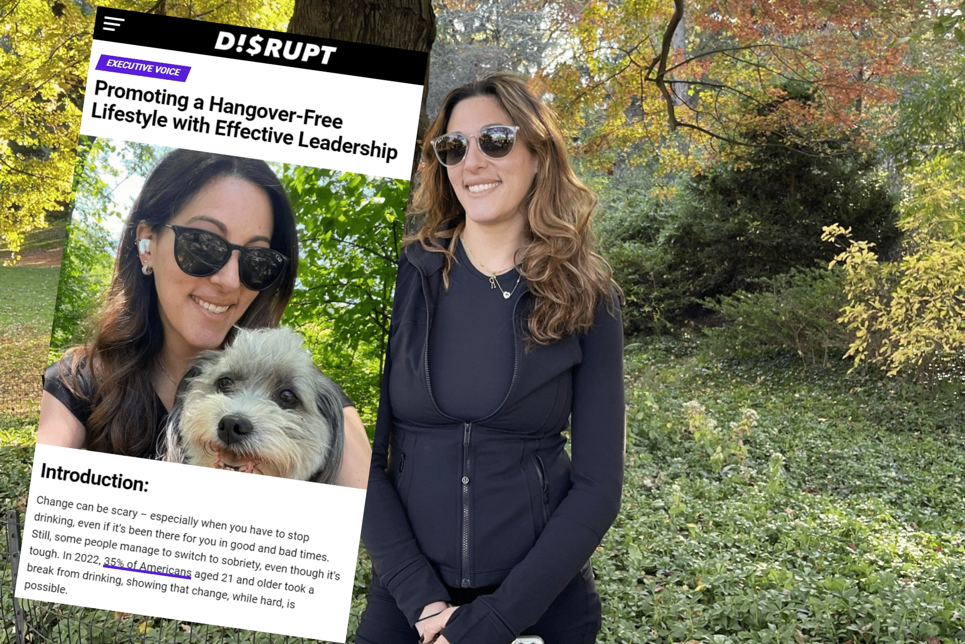 Case Studies - Impact Authority